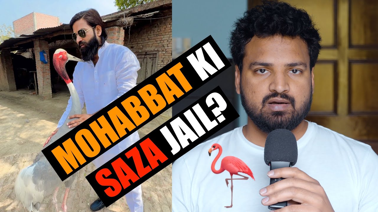 Home | Rohit Upadhyay