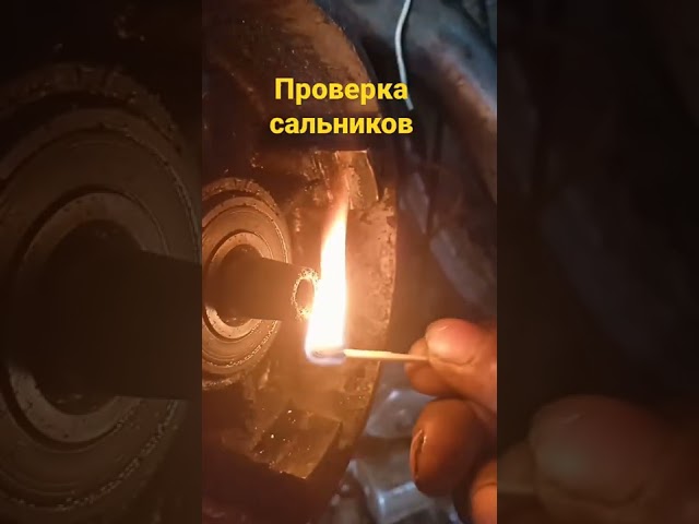 6719970146 SsangYong Сальник Коленвала