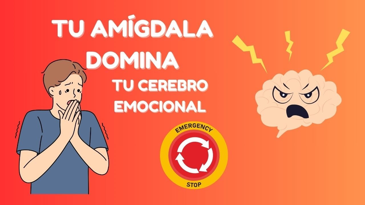 Así funciona tu cerebro emocional: claves del sistema límbico y la amígdala
