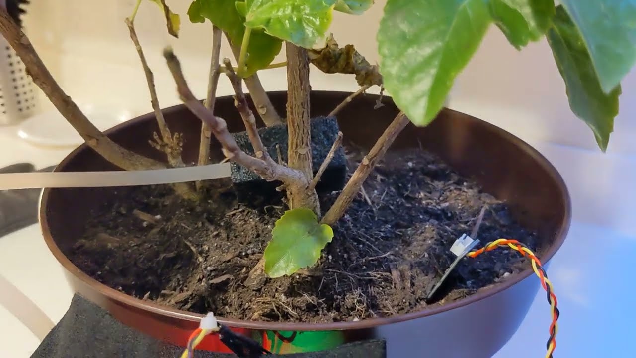 ECE153B Perfect Pot Demo