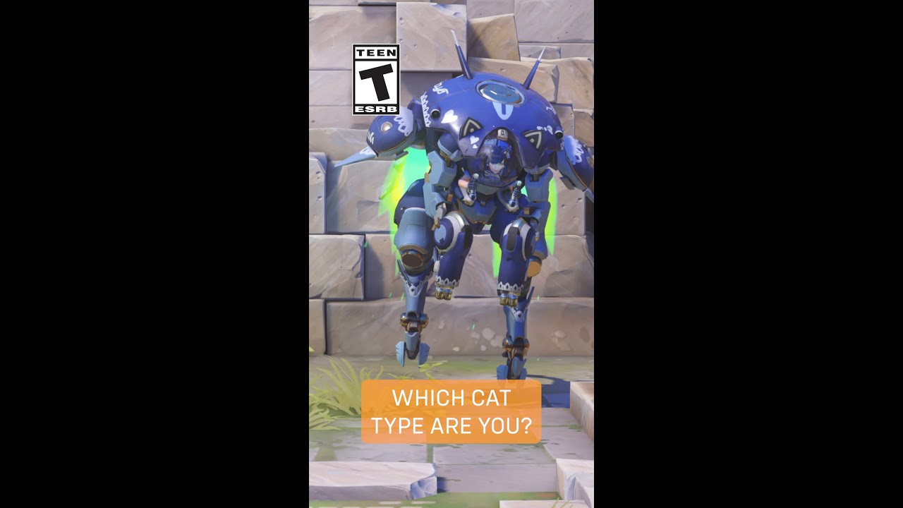The cat girl skins - General Discussion - Overwatch Forums