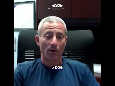 Do I Need a Tetanus or Rabies Shot After a Dog Bite?