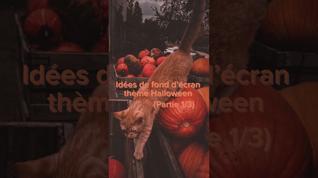 Idées de fond d’écran thème Halloween (Partie 1/3)