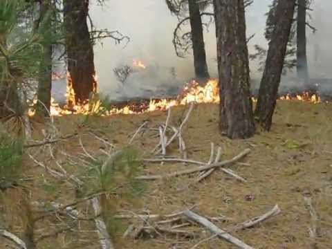 #BarryPoint #ORFire #CAFire Video of backing ground fire and dozer line ...