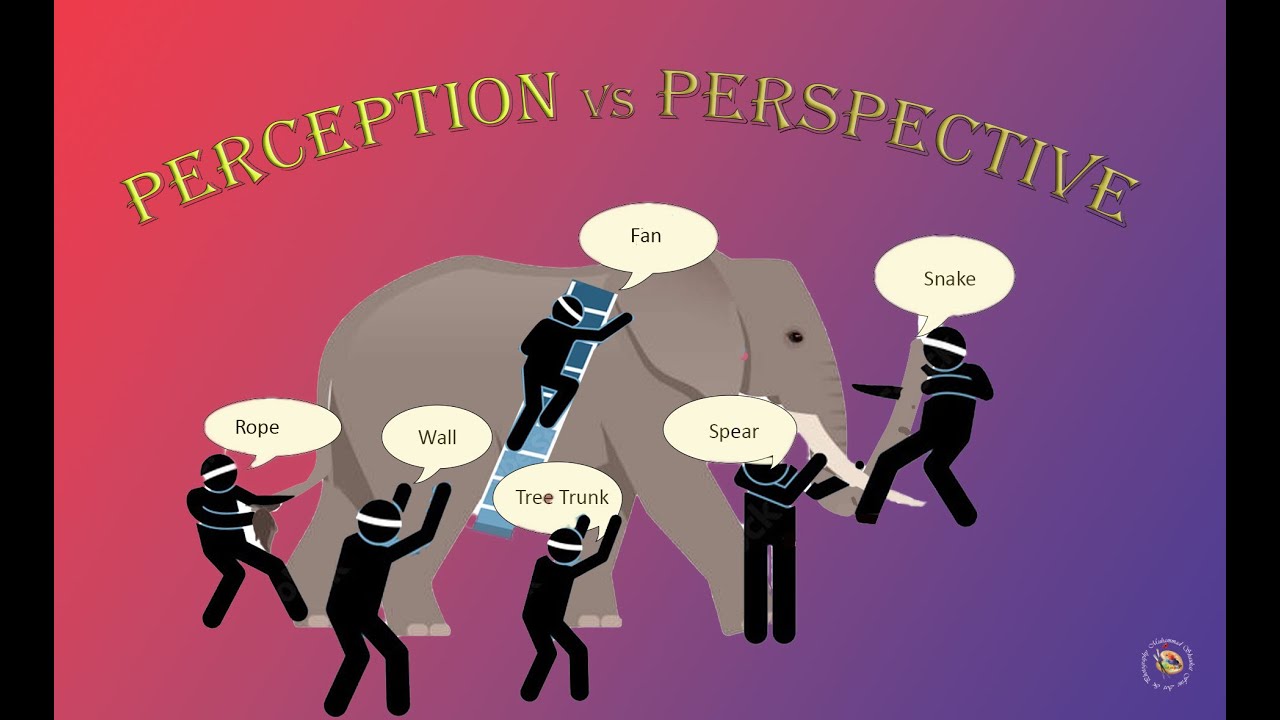 PERCEPTION vs PERSPECTIVE: Twin pillars of reality explained.