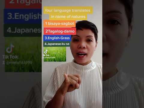 Nature name in four language translates in bisaya,Tagalog,English and Japanese basic words๐