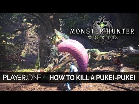 Monster Hunter: World How to Kill the Pukei-Pukei