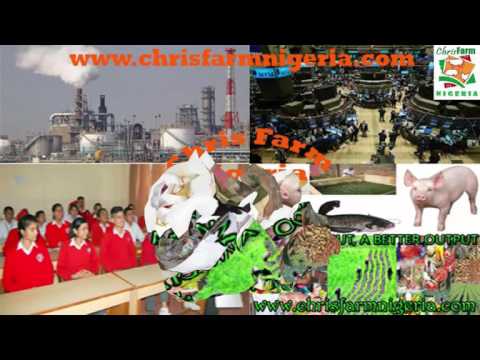 DIFFERENCE BETWEEN FEASIBILITY STUDY AND BUSINESS PLANS