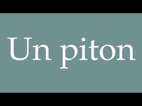 How to Pronounce ''Un piton'' (A piton) Correctly in French
