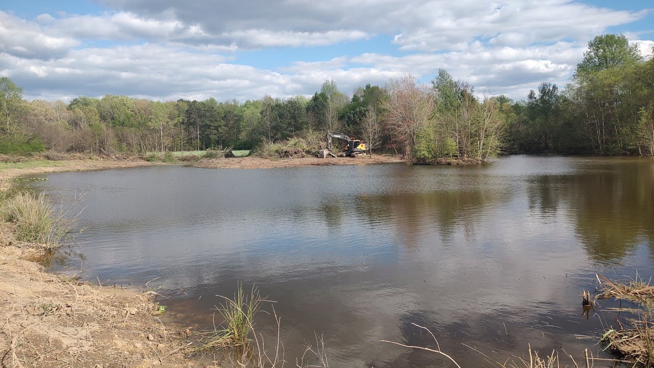 Draining The Swamp And Shoreline Cleanup!
