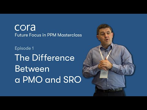 What Is the Difference Between a PMO and a Strategy Realization Office?
