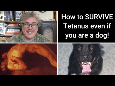 How to Survive Tetanus in a Disaster even if you are a DOG!