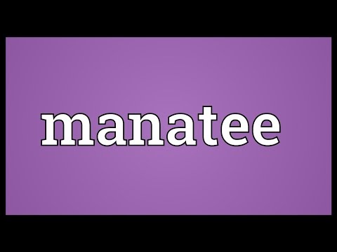 Manatee Meaning