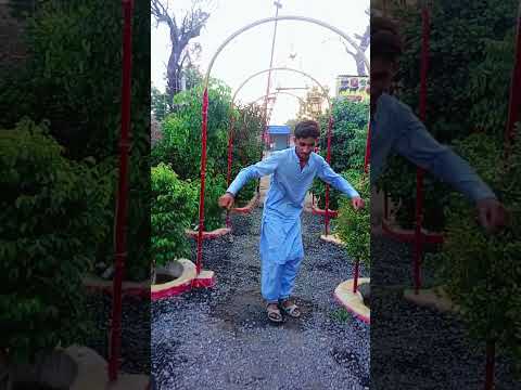 welcome o welcome | saraikisong | wajid Ali | dance | restaurant #trending #shorts #restaurant #song