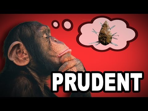 🤔💠Learn English Words: PRUDENT - Meaning, Vocabulary with Pictures and Examples