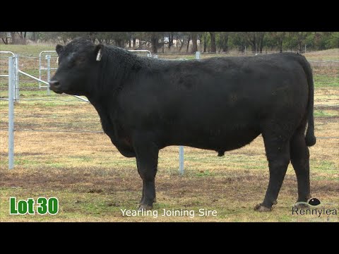 Lot 30 Rennylea NOR22T672