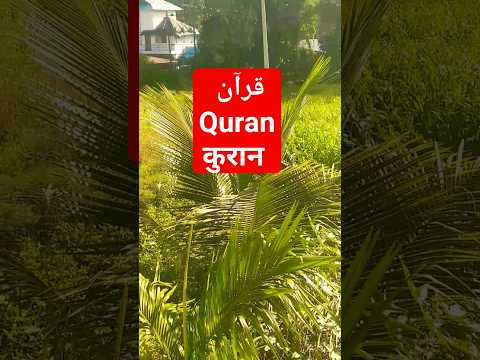 Quran 'surah zomar ayat 64-66 urdu translation,/#youtubsorts #viral h