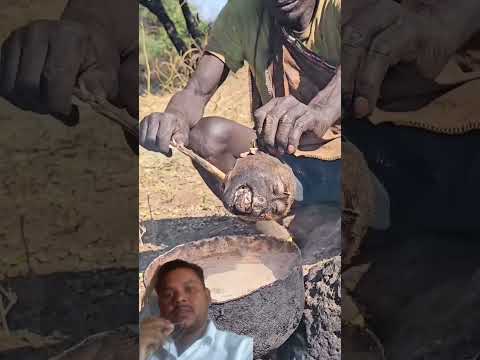 monkey food #food #villagelife #africa #shortsfeed #hadzabetribe #shortsvideo