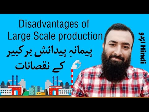 Disadvantage of Large scale production | Economics in Urdu Hindi | Magray Academy | Kafeel aslam |