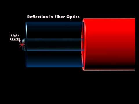 Reflection - EXFO animated glossary of Fiber Optics
