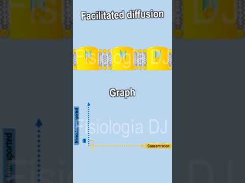 Facilitated diffusion | Facilitated diffusion explained | Facilitated diffusion Vmax and saturation
