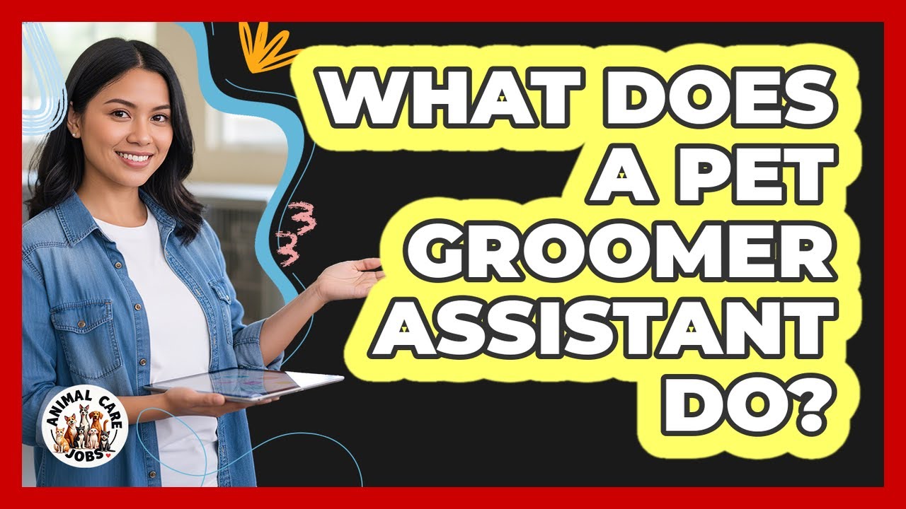 What Does a Pet Groomer Assistant Do?
