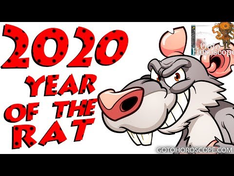 The year of the RAT 2020: Chinese horoscope for the year 2020