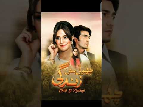 Shahzad Shaikh Best 6 Drama