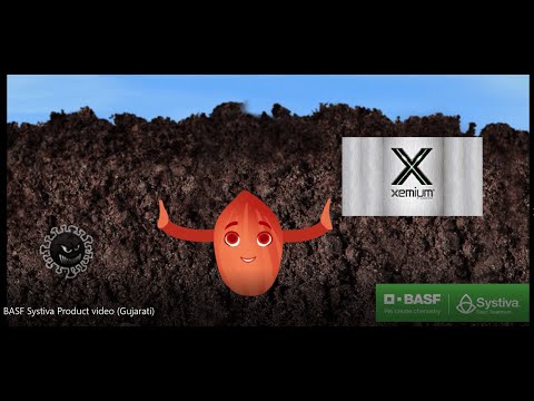 BASF Fungicides - Latest Price, Dealers & Retailers in India