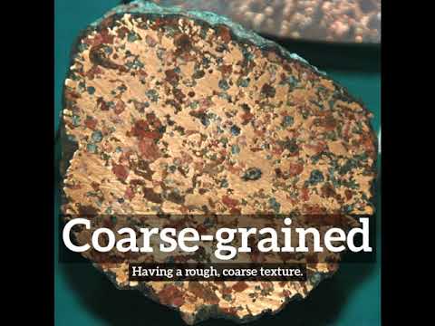 What is Coarse-grained? | How to Say Coarse-grained in English? | How Does Coarse-grained Look?