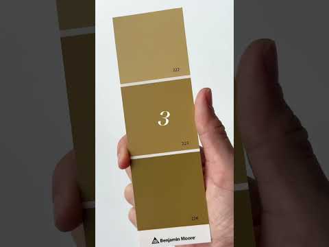 Benjamin Moore Color of the Year 2025: Guess the Color Family