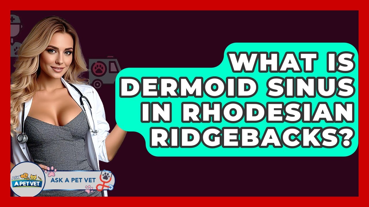 What Is Dermoid Sinus In Rhodesian Ridgebacks? - Ask A Pet Vet