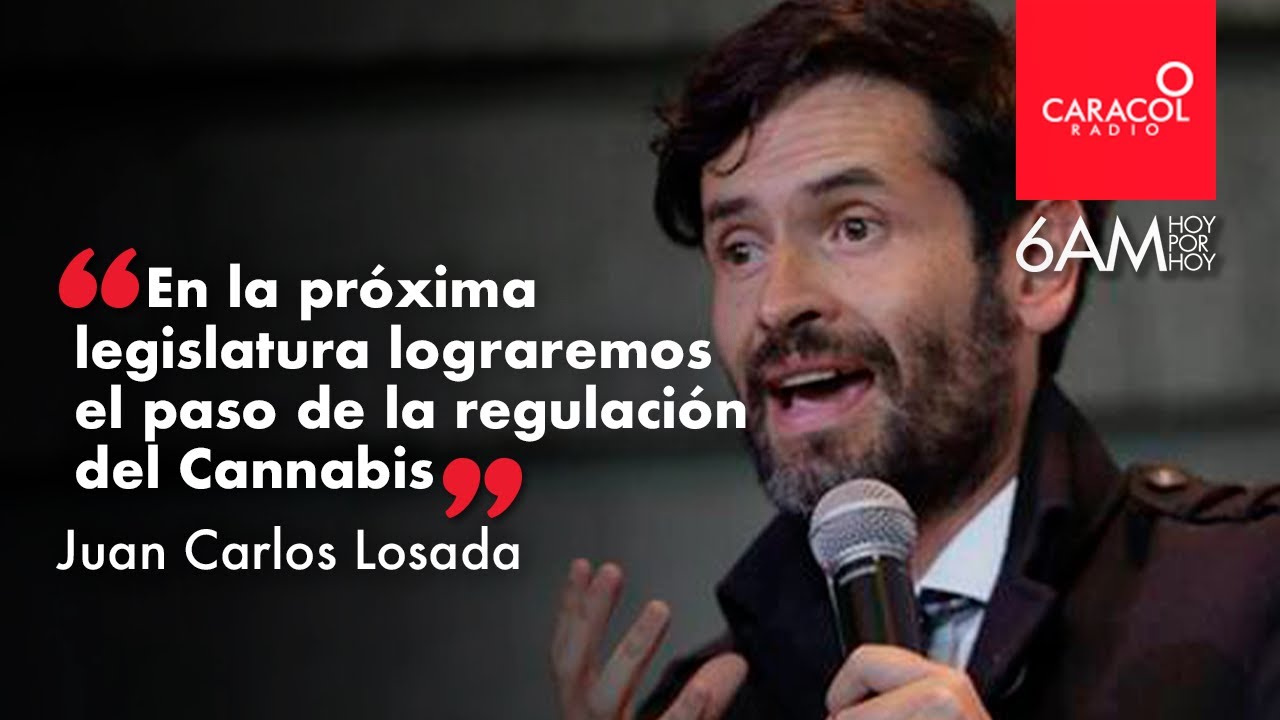 ¿Qué pasará con la regulación del cannabis en Colombia? | Caracol Radio