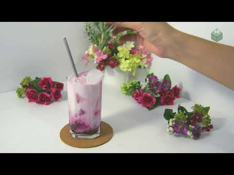 ITALIAN CREAM SODA | EASY123