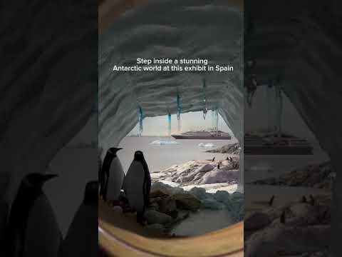 The exhibit related to Antarctica Museo Nacional Thyssen-Bornemisza in Madrid. ❄️