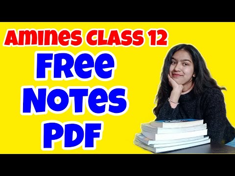 Amines Class 12 Free Handwritten Notes PDF | Organic Chemistry Notes Class 12
