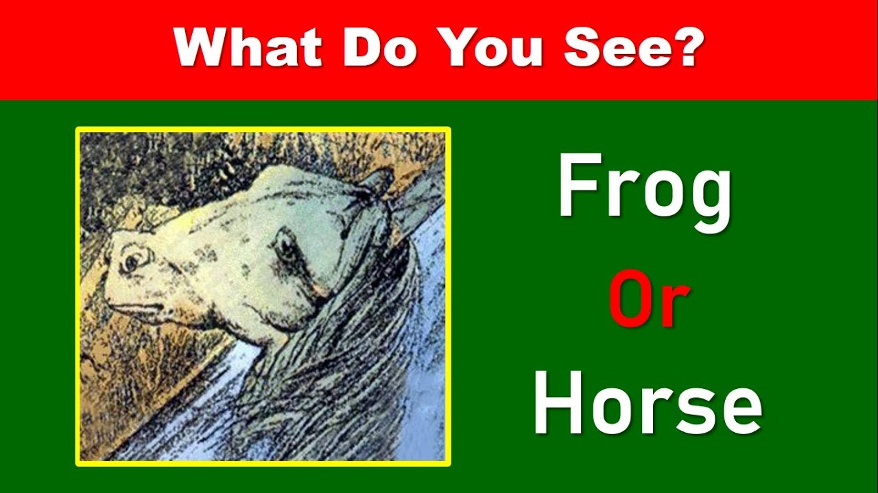 10 Ambiguous Illusions To Test Your Brain