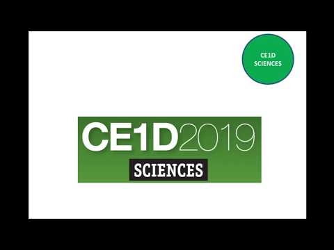 CE1D Sciences 2019 question 14 + corrigé