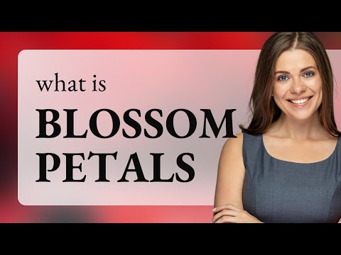 Blossoming into English: Understanding "Blossom Petals"