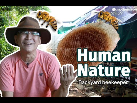 After 37 years as MOE teacher & vice principal, Singaporean quits to be a beekeeper in Yishun