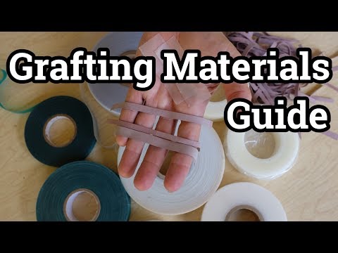 Grafting Materials Guide: Grafting Tapes and Rubber Strips