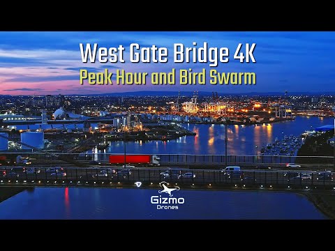 West Gate Bridge Peak Hour & Bird Swarm Melbourne, Victoria, Australia - Evo 2 Pro 4K Drone Footage