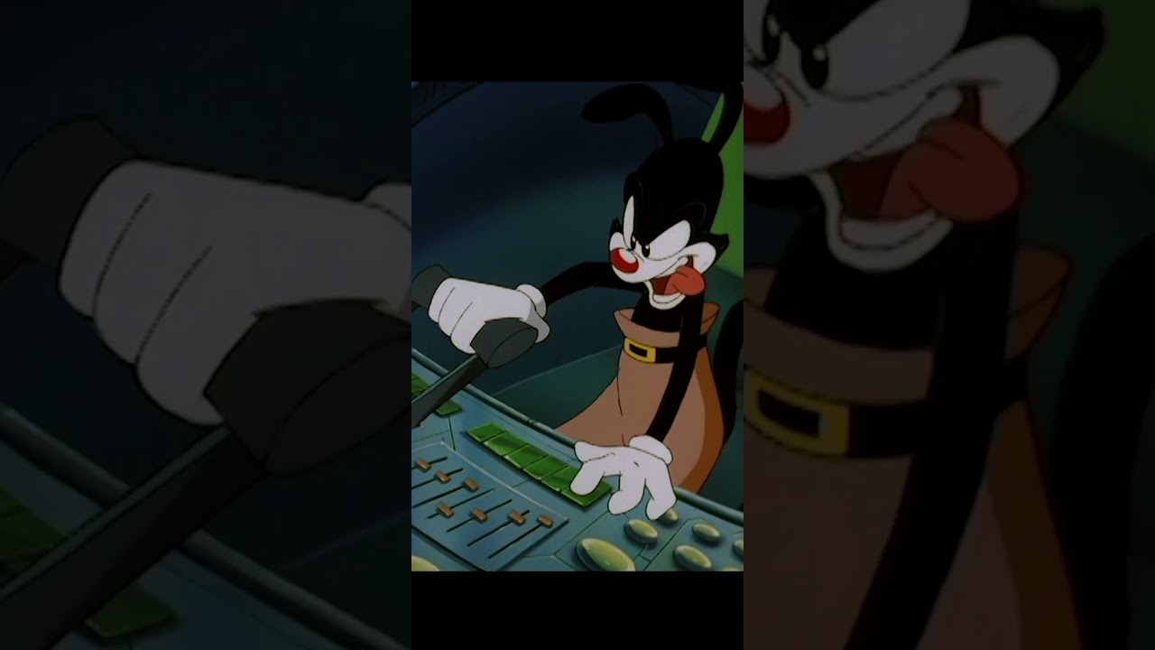 First two weeks with a drivers license be like #driversed #animaniacs  @GenerationWB#animaniacs