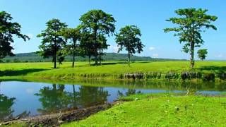 10 Things To Do In Lautem National Park, Timor-Leste | Gems.Travel