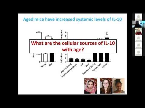 [David Hildeman] IL-10producing Tfh cells accumulate with age and link inflammation with age-related