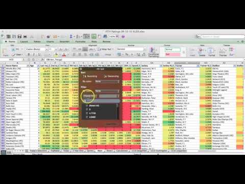 How to use the RateThatHorse spreadsheet