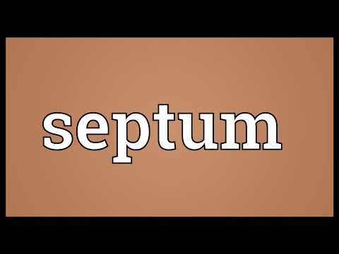 Septum Meaning