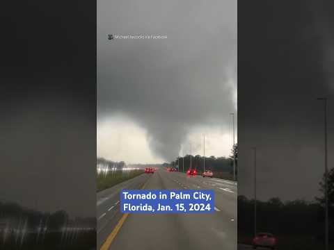 Tornado strikes Palm City, Florida; no injuries reported