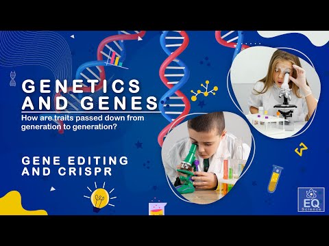 Genetics 101: Understanding the Basics