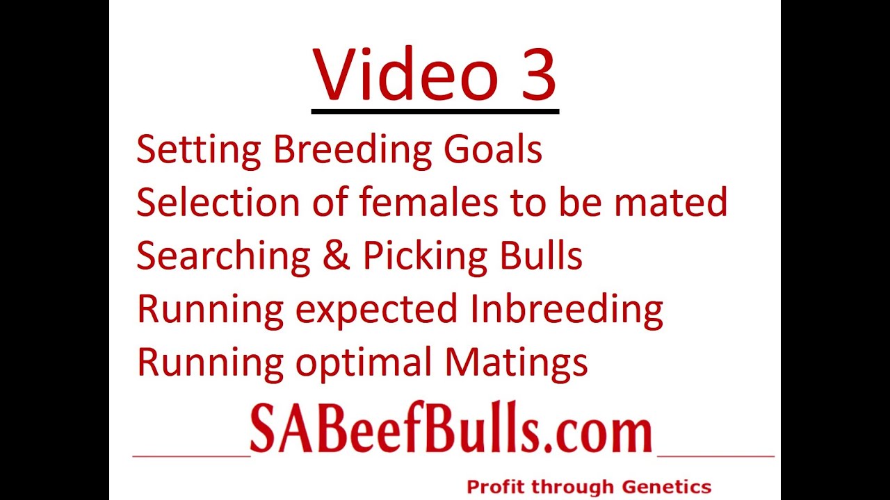 SABeefBulls Video 3 Objectives Selection Matings